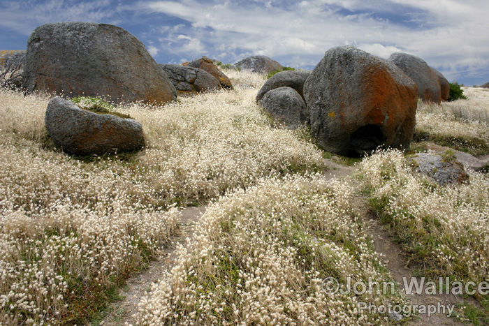 Granite Island | John Wallace Photography