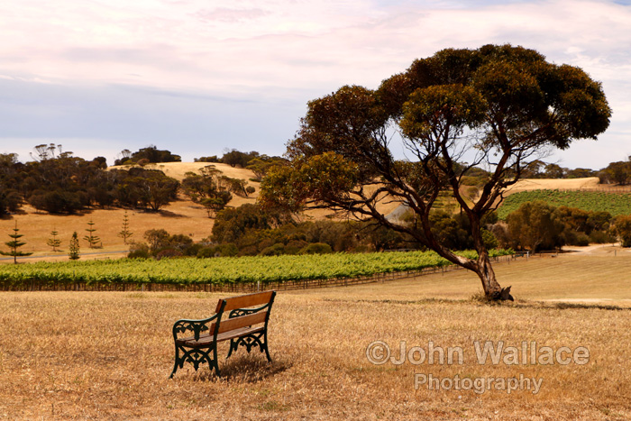 A Place to Relax | John Wallace Photography